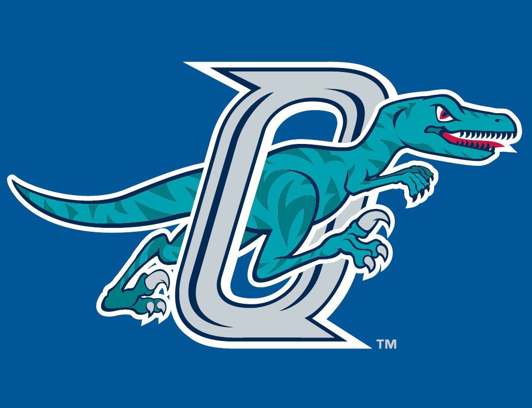 Ogden Raptors bats light up night sky with home run display | News ...